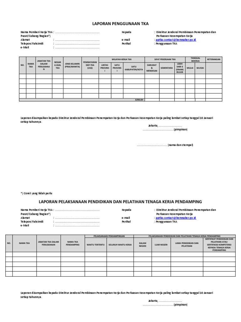Laporan Penggunaan Tka | PDF