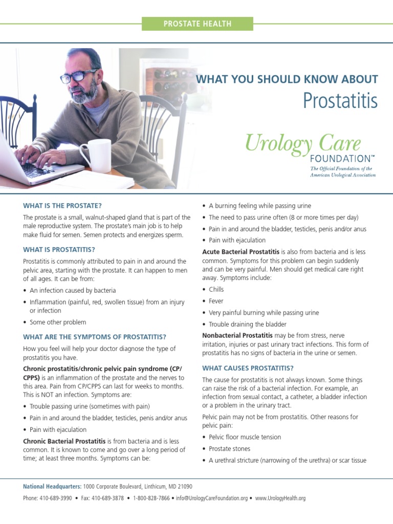 Prostatitis Fact Sheet PDF | PDF | Prostate | Genitourinary System