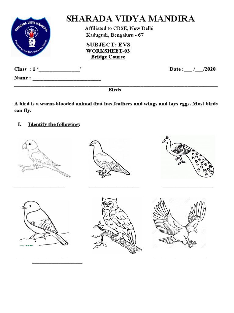 G01 - EVS - Bridge Course - Bridge Course - Worksheet - 3 - 2020-21 | PDF