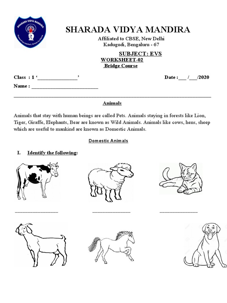 Class 1 EVS Bridge Course Worksheet | PDF