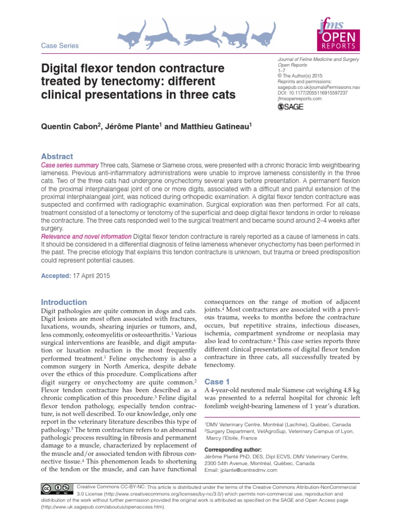 Digital Flexor Tendon Contracture Treated by Tenectomy: Different ...