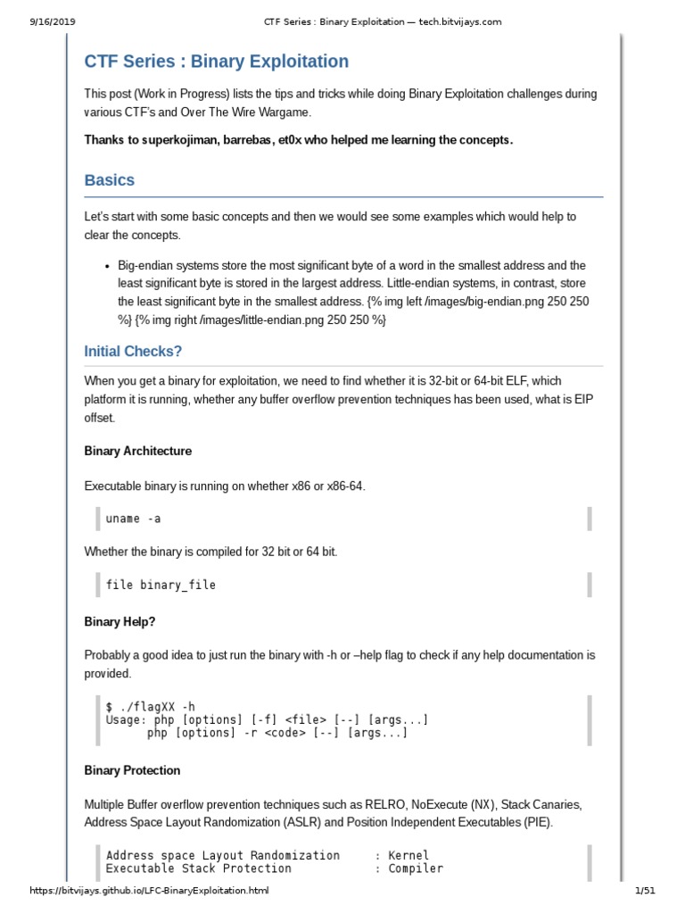 Ctf Series Binary Exploitation Pdf Library Computing String Computer Science