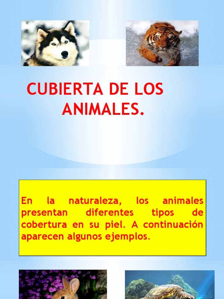 CUBIERTA DE LOS Animales | PDF | Hogar, jardinería y bricolaje ...