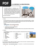 Ejercicios de Tema y Subtemas para Primaria | PDF | Coala | Memoria