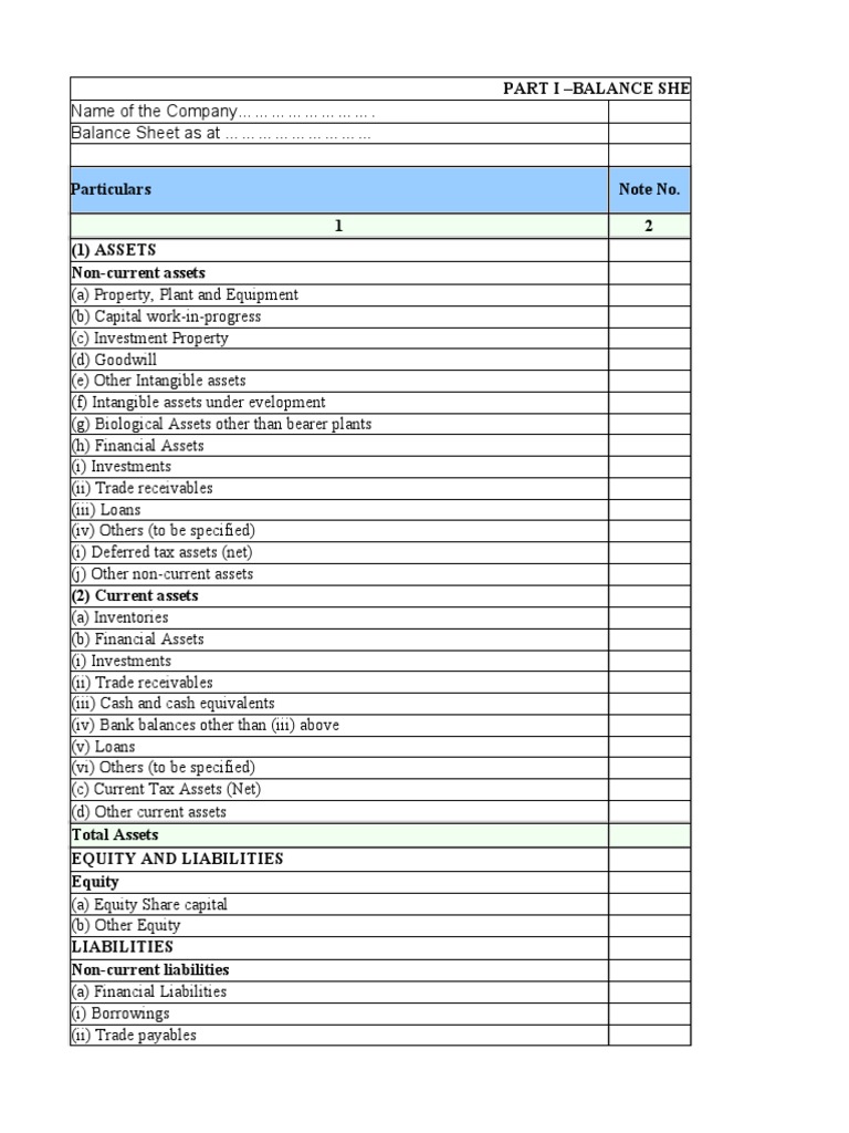 Format of Financial Statment As Per Revised Schedule III of Companies ...