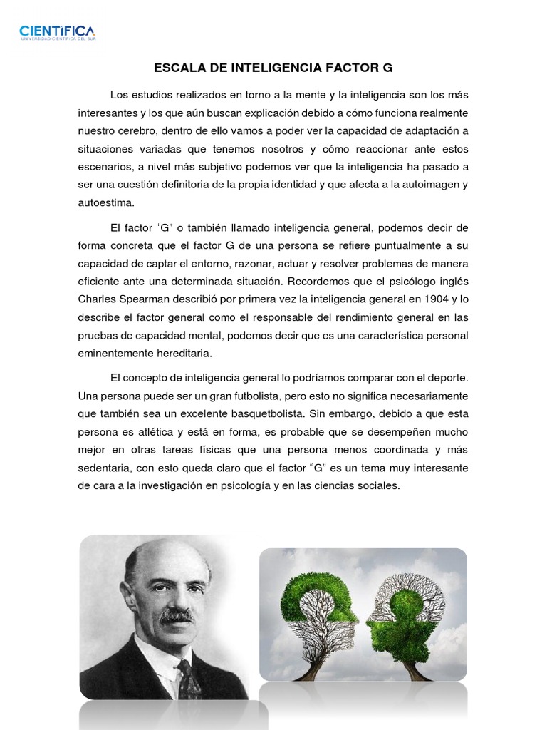 Escala de Inteligencia Factor G PDF | PDF