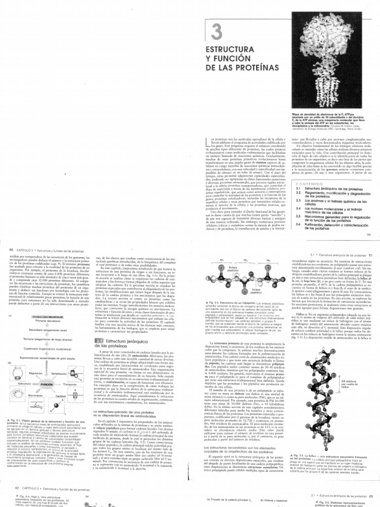 Biología - Lodish - Cap. 3 PDF | PDF