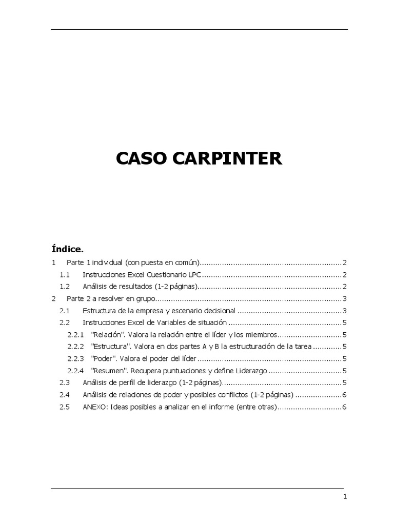 Análisis de Liderazgo en CARPINTER | PDF | Microsoft Excel | Informática
