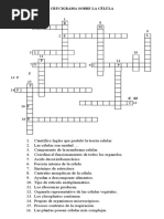 Crucigrama Sistema Nervioso PDF | PDF | Sistema nervioso | Sistema ...