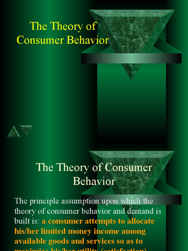 4 Theory of Consumer Behavior | Download Free PDF | Utility | Consumers