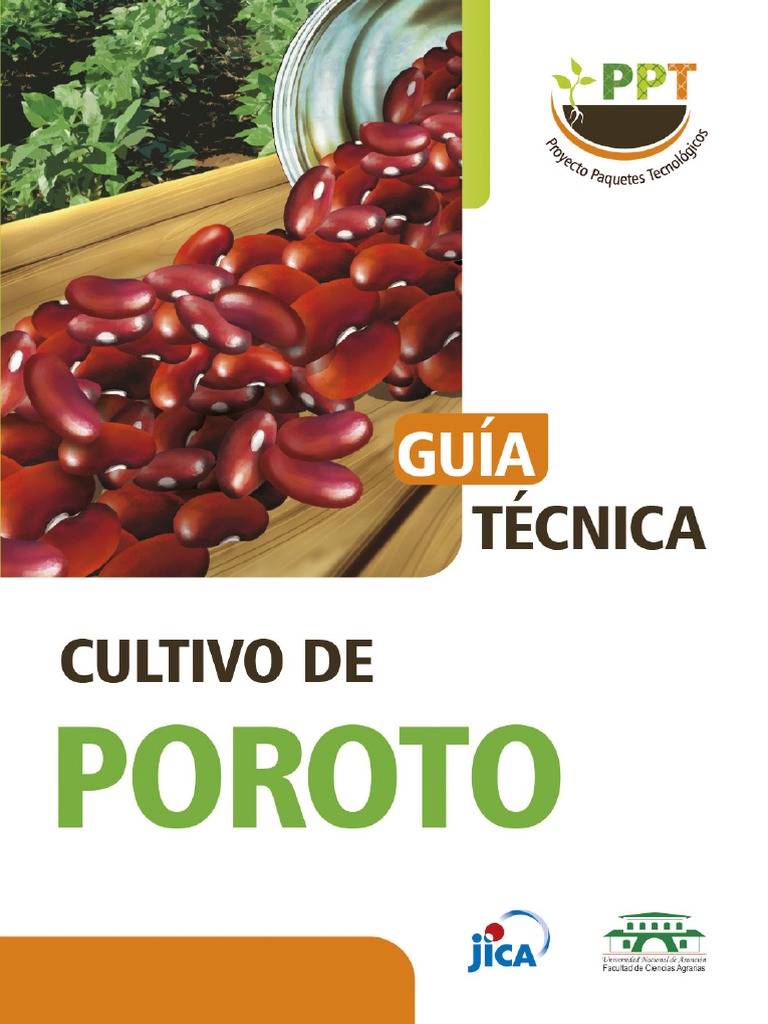 Cultivo de Poroto - JICA PY | PDF | Hoja | Siembra