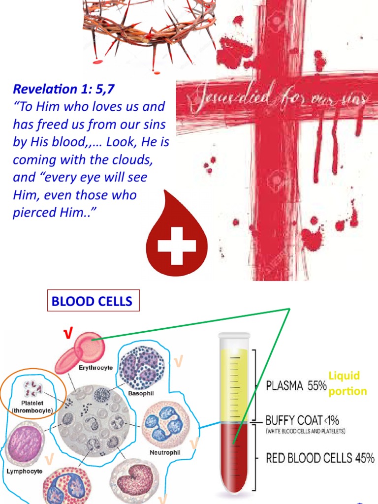 13-Transfusion Graphs | PDF | Blood Transfusion | Blood Type