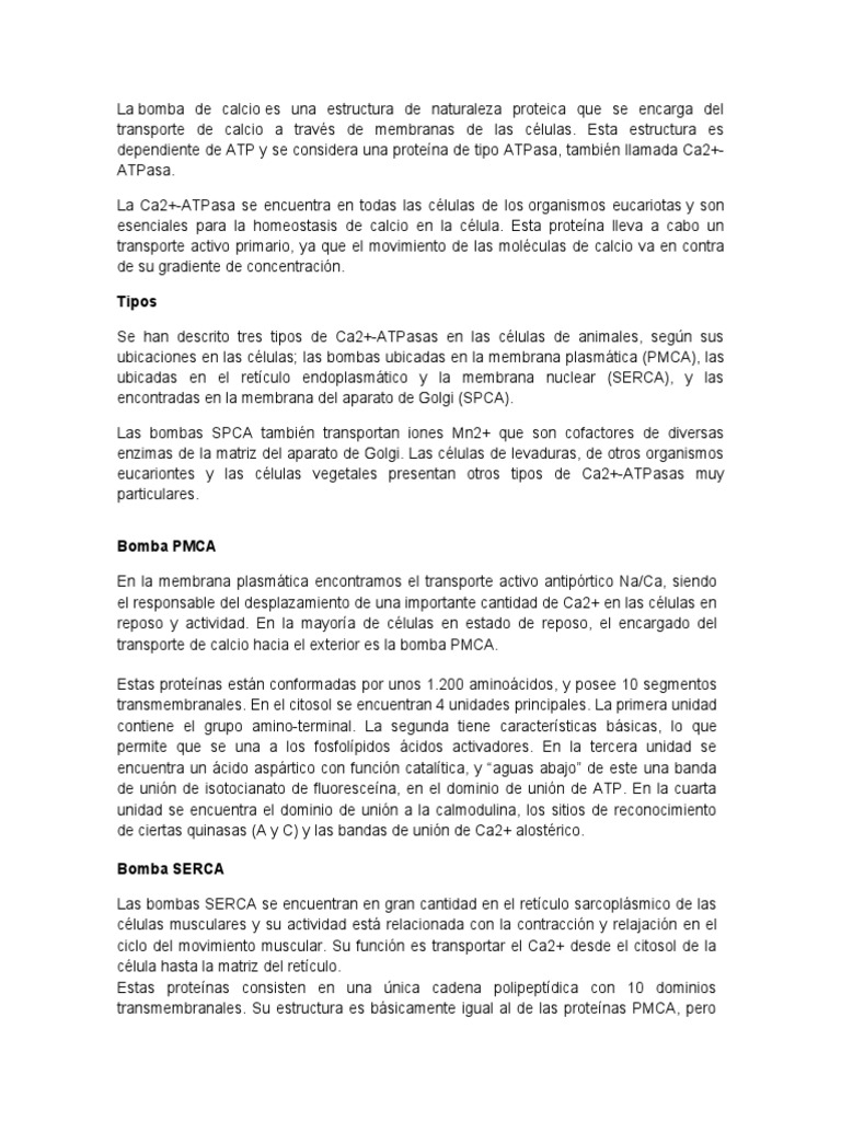 Estructura | PDF | Membrana celular | Citosol