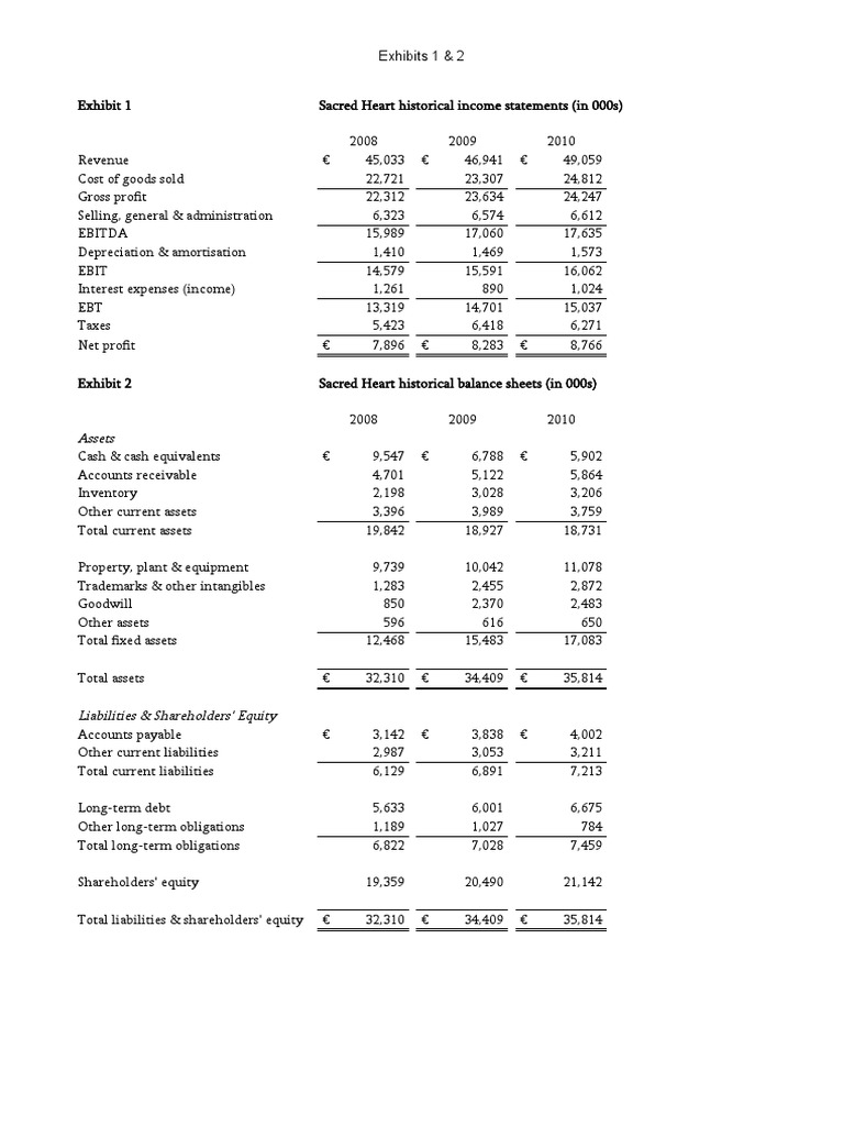 Excel Table I Scream For Ice Cream Case | PDF | Balance Sheet ...