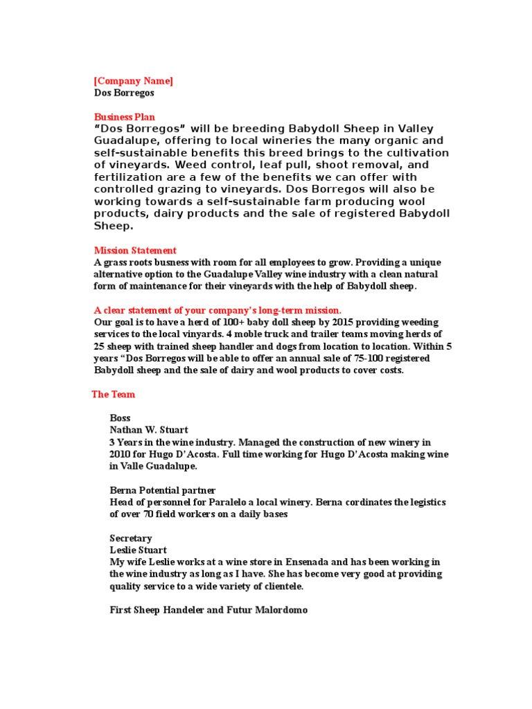 Bussness Plan | PDF | Pricing | Market (Economics) Bussness Plan | PDF | Pricing | Market (Economics)