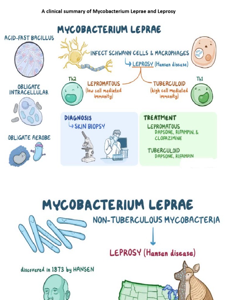 A Clinical Summary of Mycobacterium Leprae and Leprosy | PDF