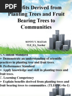 Orchard Planting Layout Systems Explained | PDF | Plants | Trees