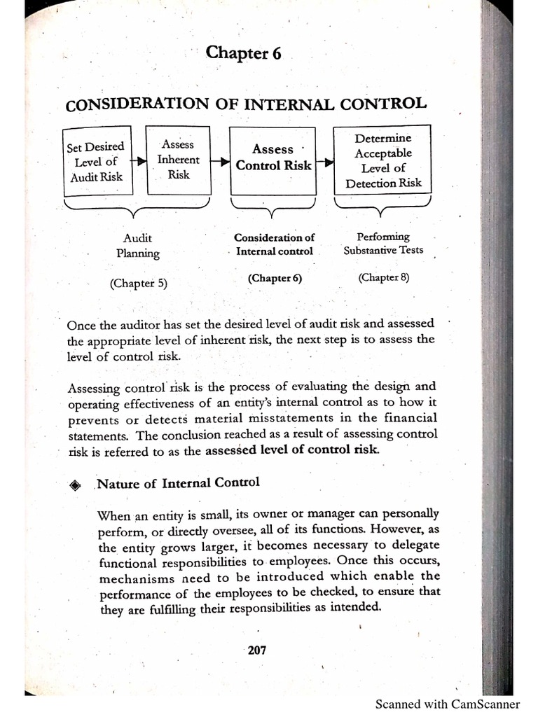 Chapter 6 - Consideration of Internal Control | PDF