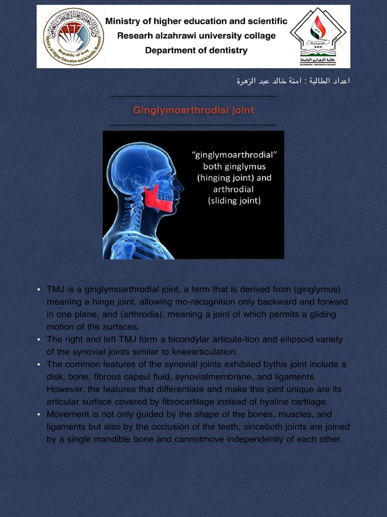 TMJ Anatomy and Clinical Insights | PDF | Primate Anatomy ...