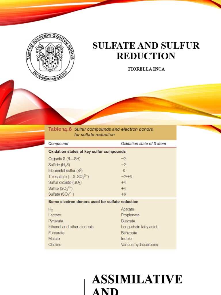 Sulfate and Sulfur Reduction | PDF