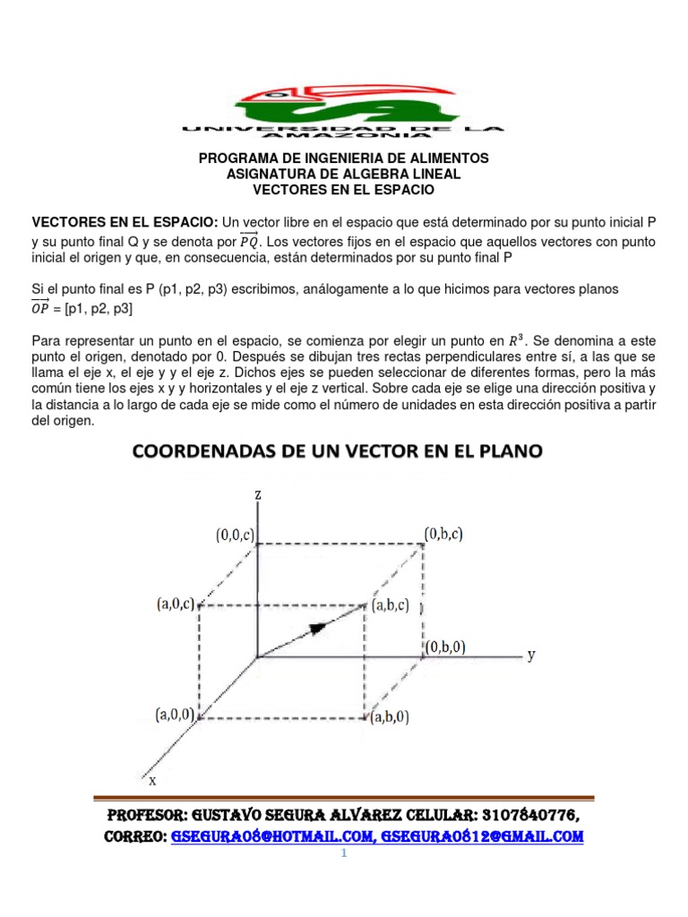 Contenido y Taller de Vectores El Espacio 2020 | PDF | Vector Euclidiano | Escalar (Matemáticas)