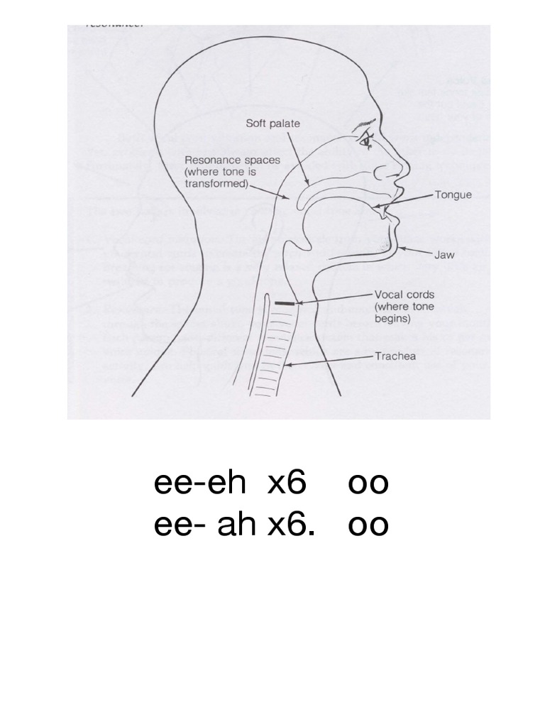 Vowel Placement | PDF