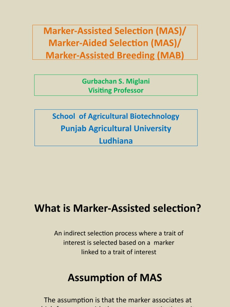03 Marker Aided Selection | PDF | Plant Breeding | Quantitative Trait Locus
