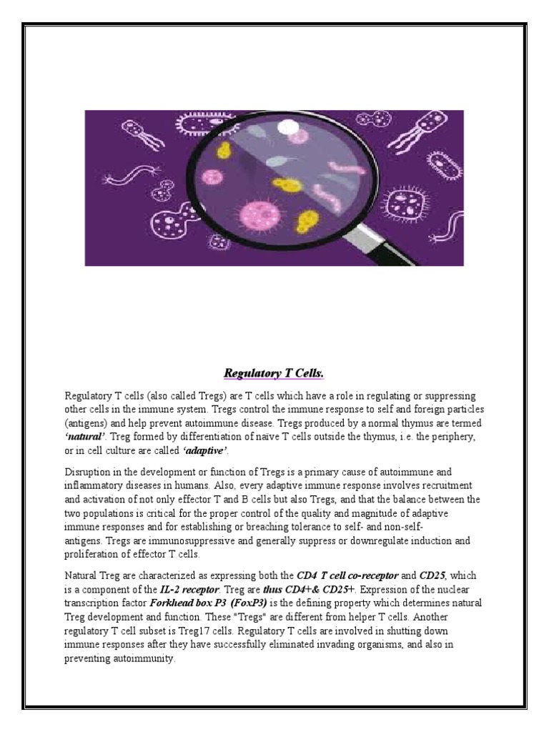 Regulatory T Cells .: Natural'. Treg Formed by Differentiation of Naïve ...