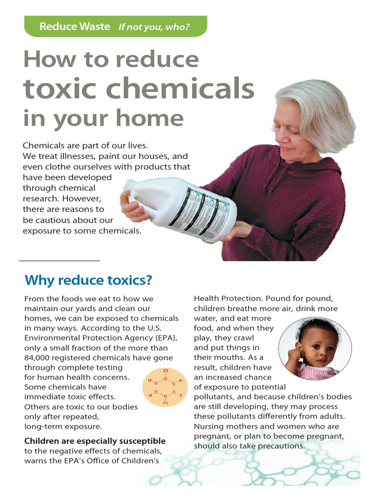 Reducing Toxin Chemicals | PDF | Air Pollution | Toxicity