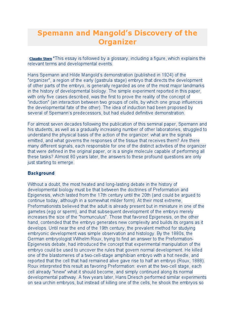 Spemann and Mangold's Discovery of The Organizer: Background | PDF ...