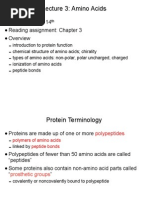 DNA Mutations Lab Answer Key | PDF | Genetic Code | Point Mutation