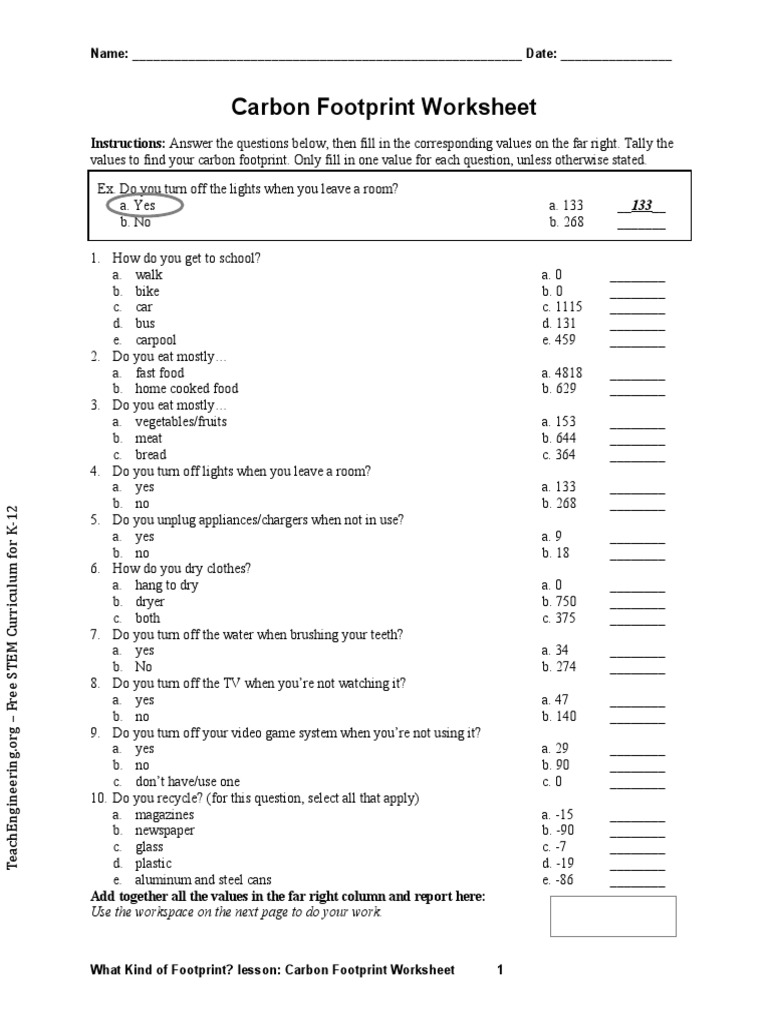 Kids' Carbon Footprint Activity Worksheet | PDF | Carbon Footprint ...