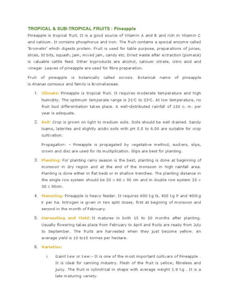 Pineapple: Climate and Seasonal Insights | PDF | Pineapple | Subtropics