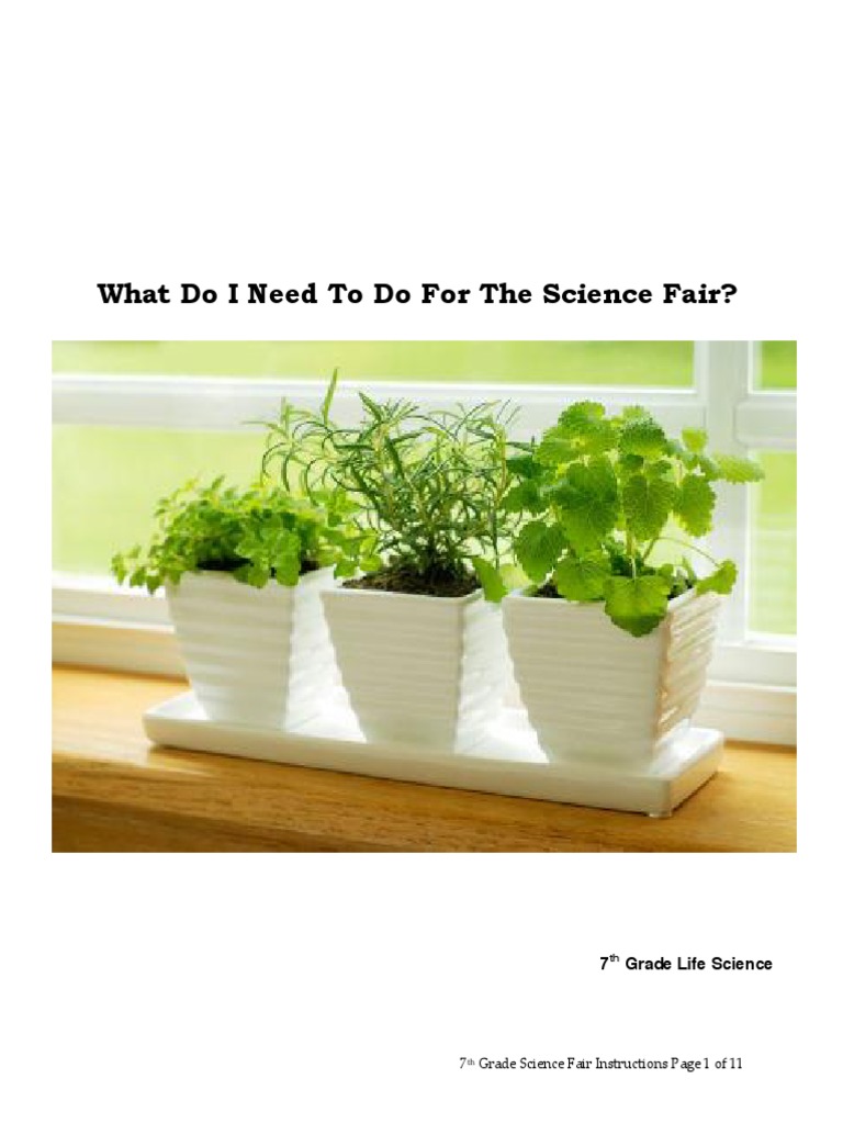 What Do I Need To Do For The Science Fair? | PDF | Books | Communication