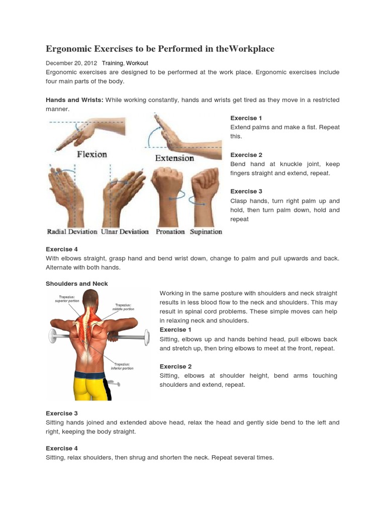 Workplace Ergonomic Exercises Guide | PDF | Hand | Elbow