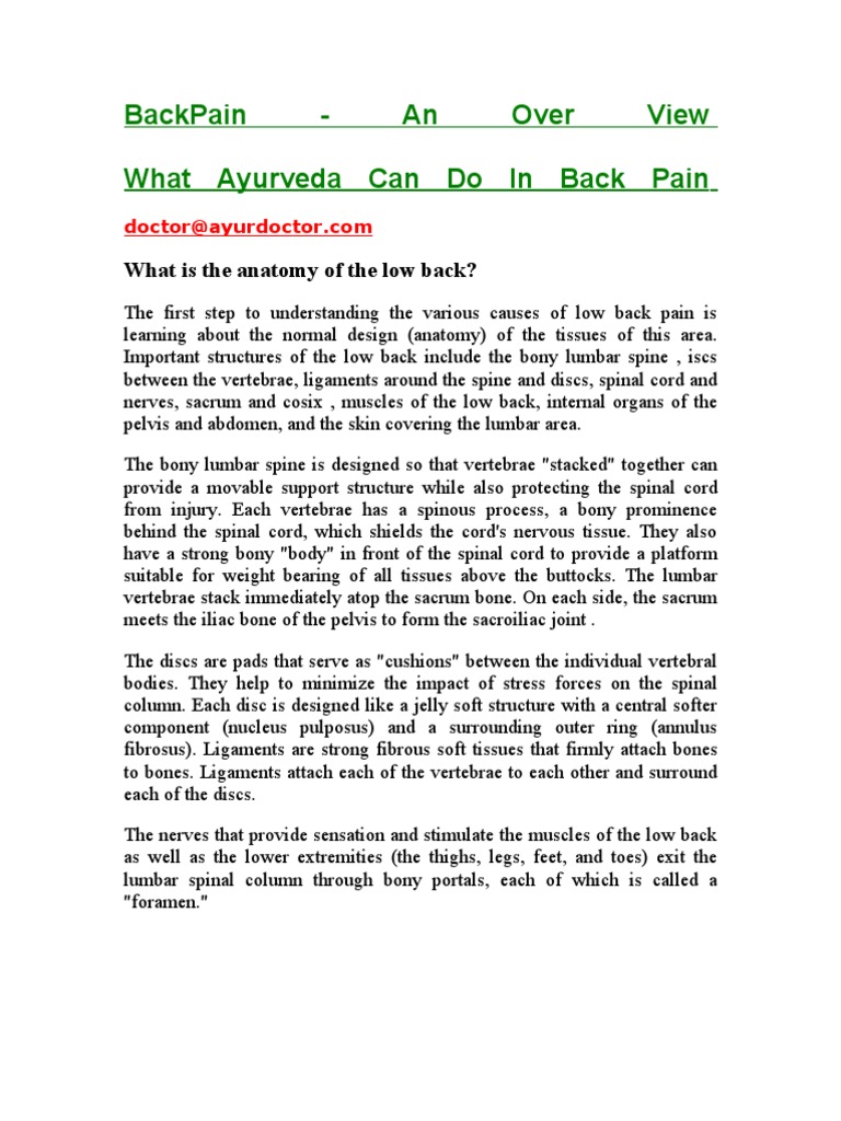 Back Pain Overview | PDF | Vertebral Column | Back Pain