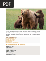 Ursidae | PDF | Osos | Depredadores