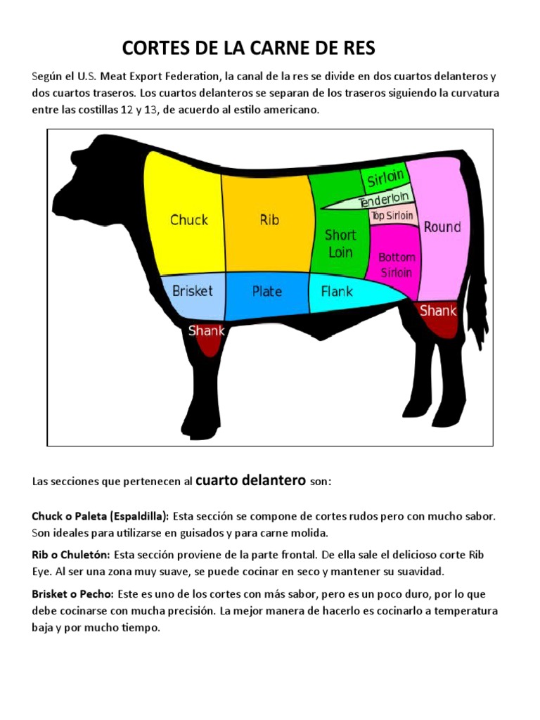 02.2-Cortes de La Res 1 | PDF | filete | Productos ganaderos