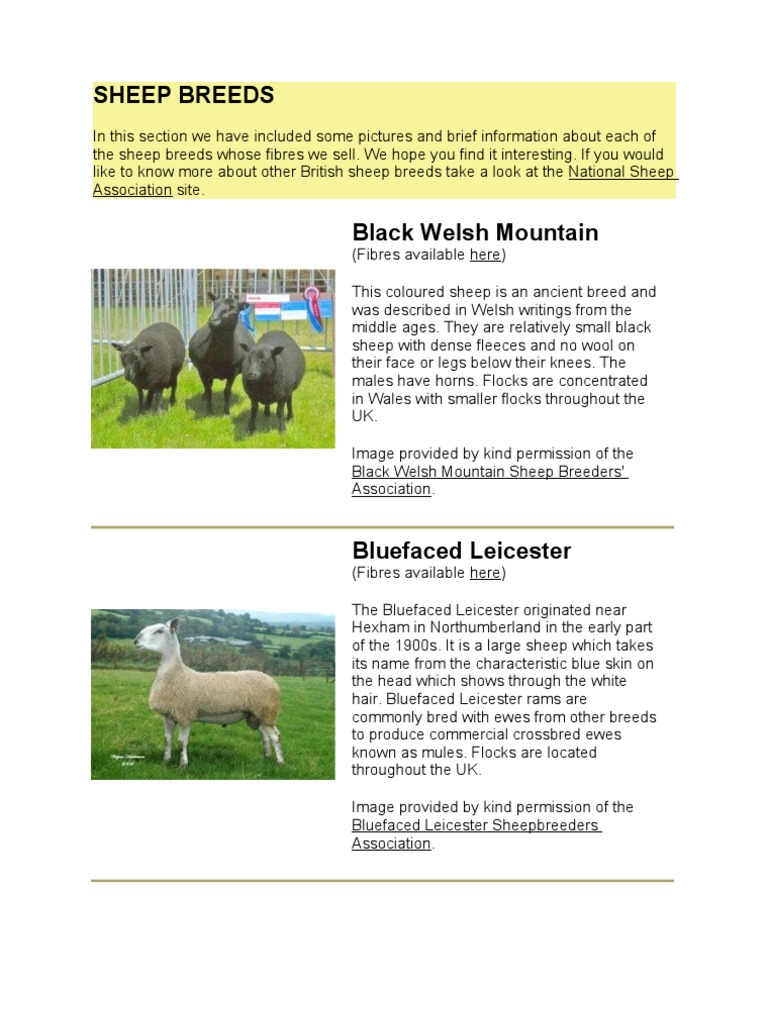 Sheep Breeds | PDF | Sheep | Mammal Breeds