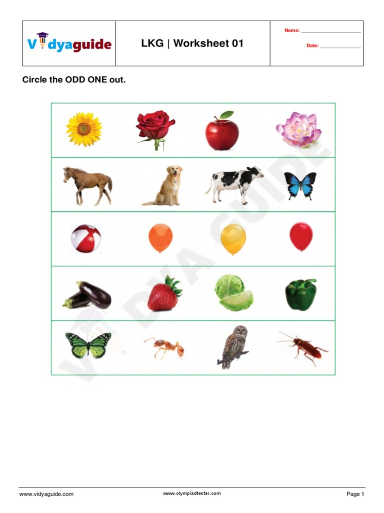 LKG - Worksheet 01: Circle The ODD ONE Out | PDF