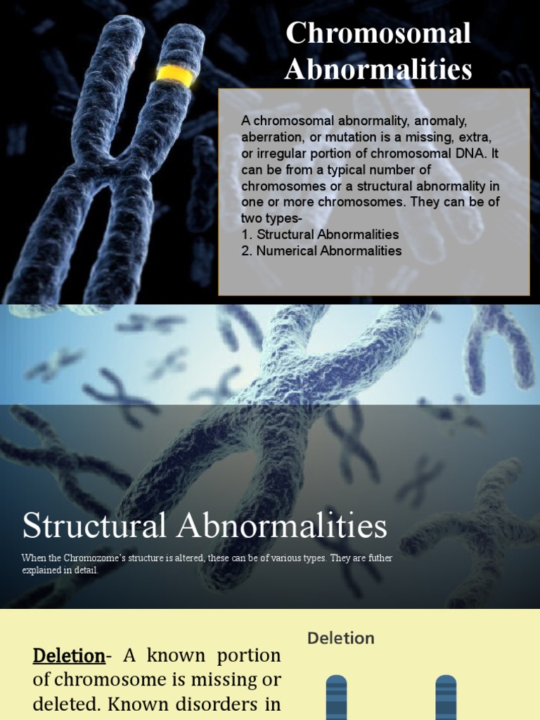 Chromosomal Abnormalities in Humans and Animals | PDF | Genetic ...