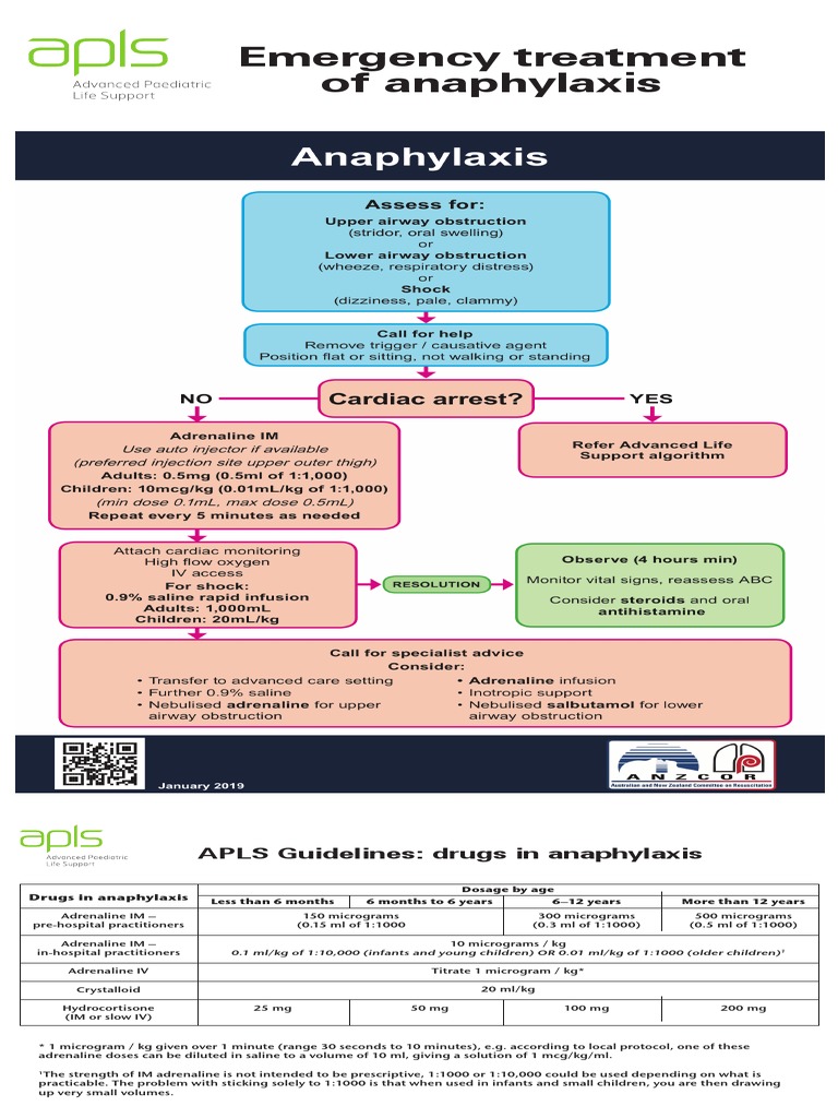 Algorithms - Anaphylaxis | PDF | Intravenous Therapy | Pharmacology