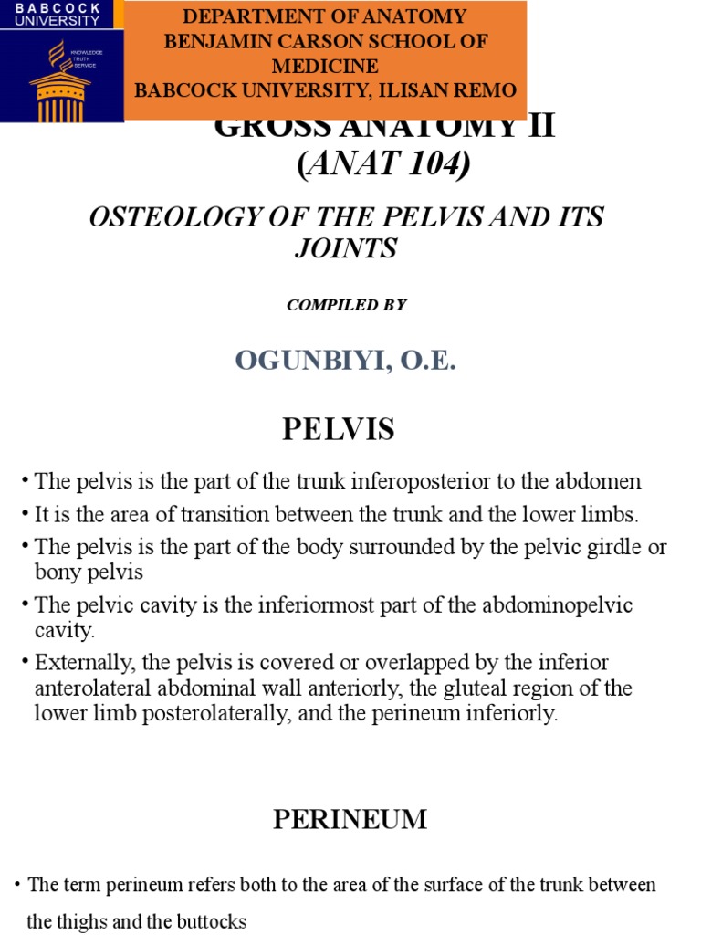Gross Anatomy Ii (ANAT 104) : Osteology of The Pelvis and Its Joints | PDF | Pelvis | Anatomy