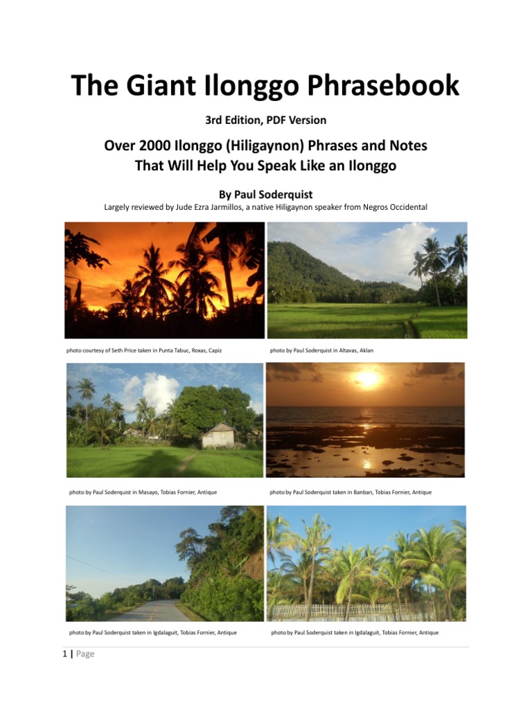 Essential Ilonggo Phrasebook Guide | PDF | Grammatical Tense | English ...
