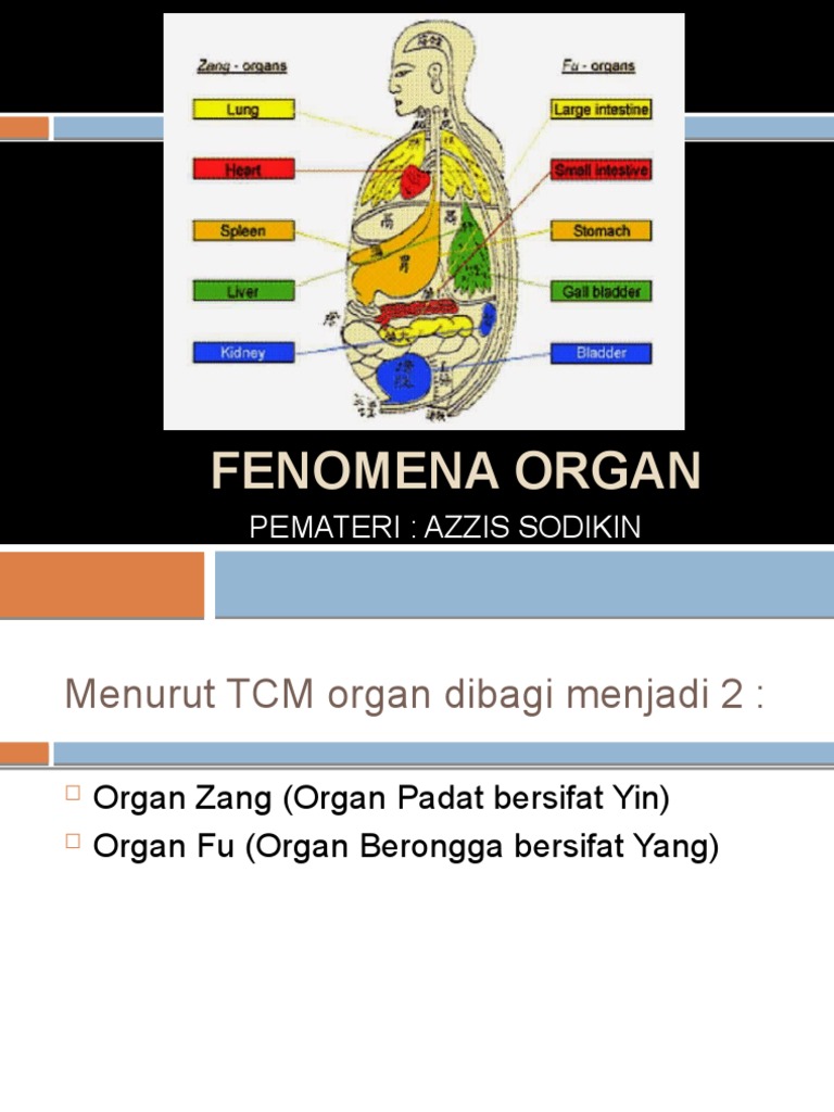 ORGAN TCM | PDF