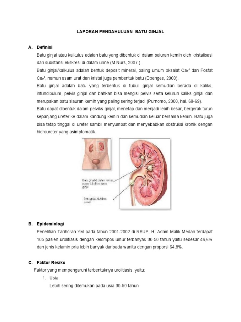 LPBatu Ginjal | PDF