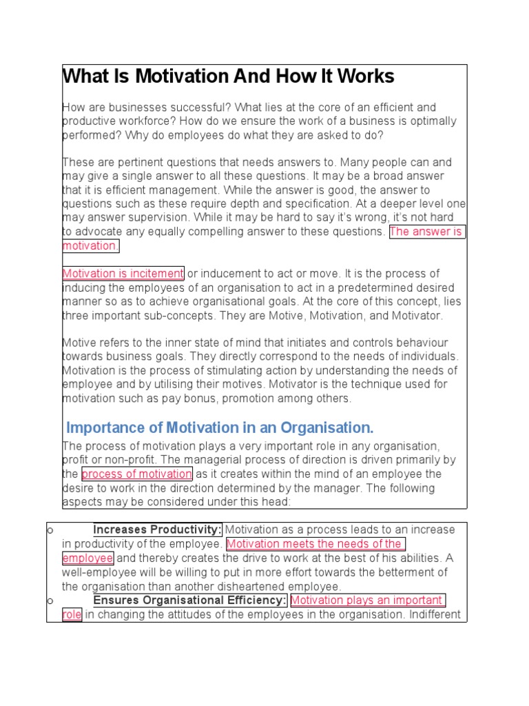 What Is Motivation and How It Works: Importance of Motivation in An ...