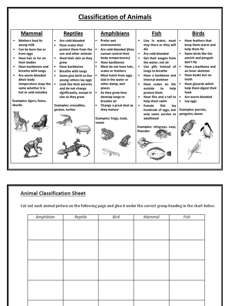 Classification of Animals: Mammal Reptiles Amphibians Fish Birds ...