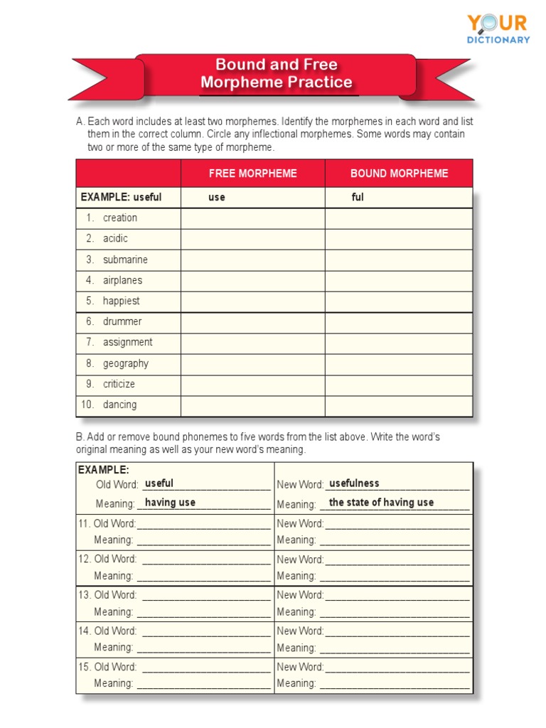 Bound and Free Morpheme Practice: EXAMPLE: Useful Use Ful 1. Creation ...