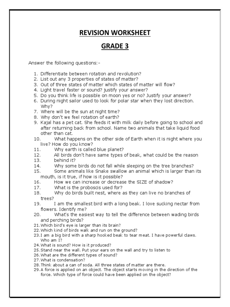 Revision Worksheet Grade 3 | PDF | Young Adult